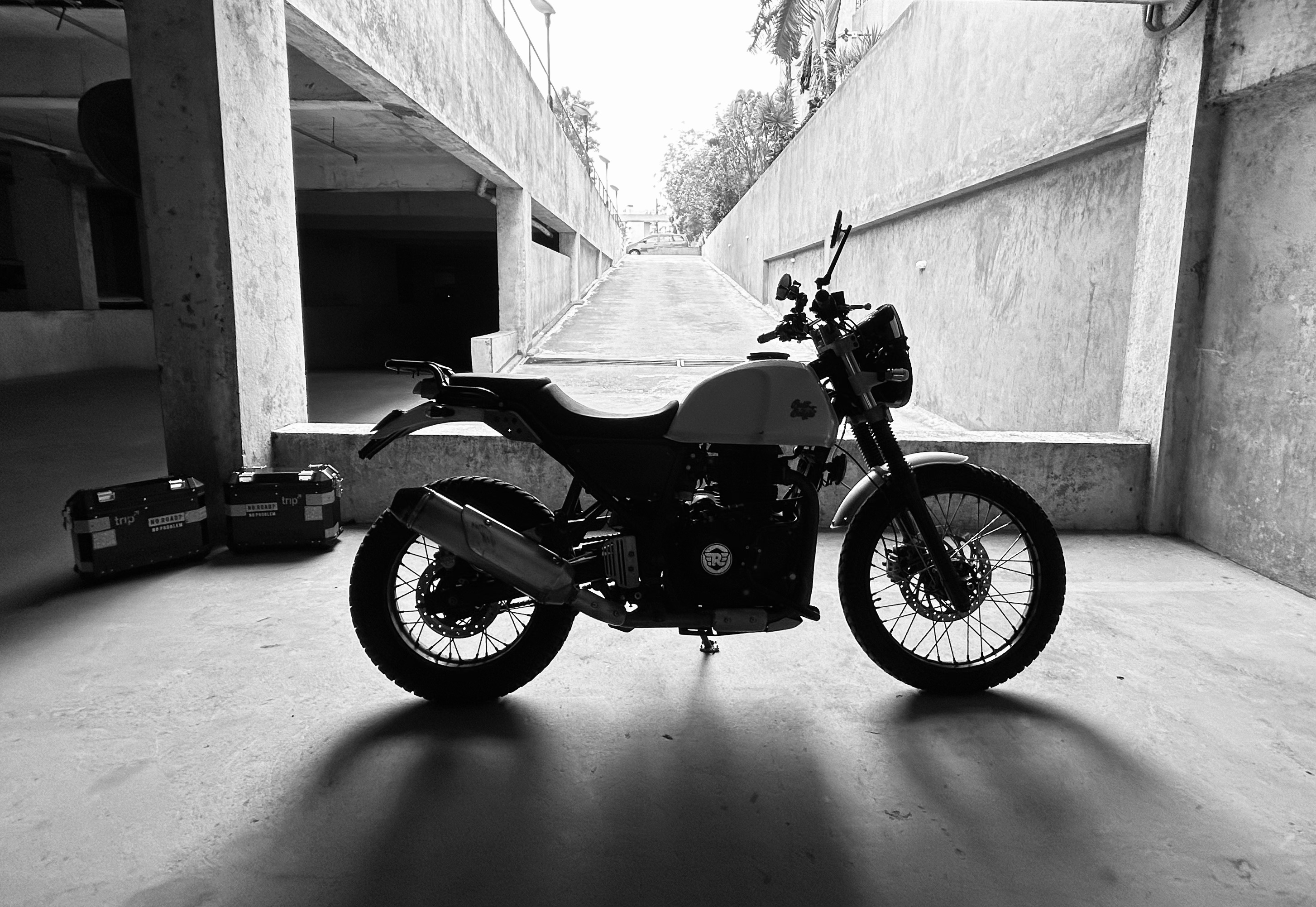 Himalayan, reborn. – yonder blue mountain…